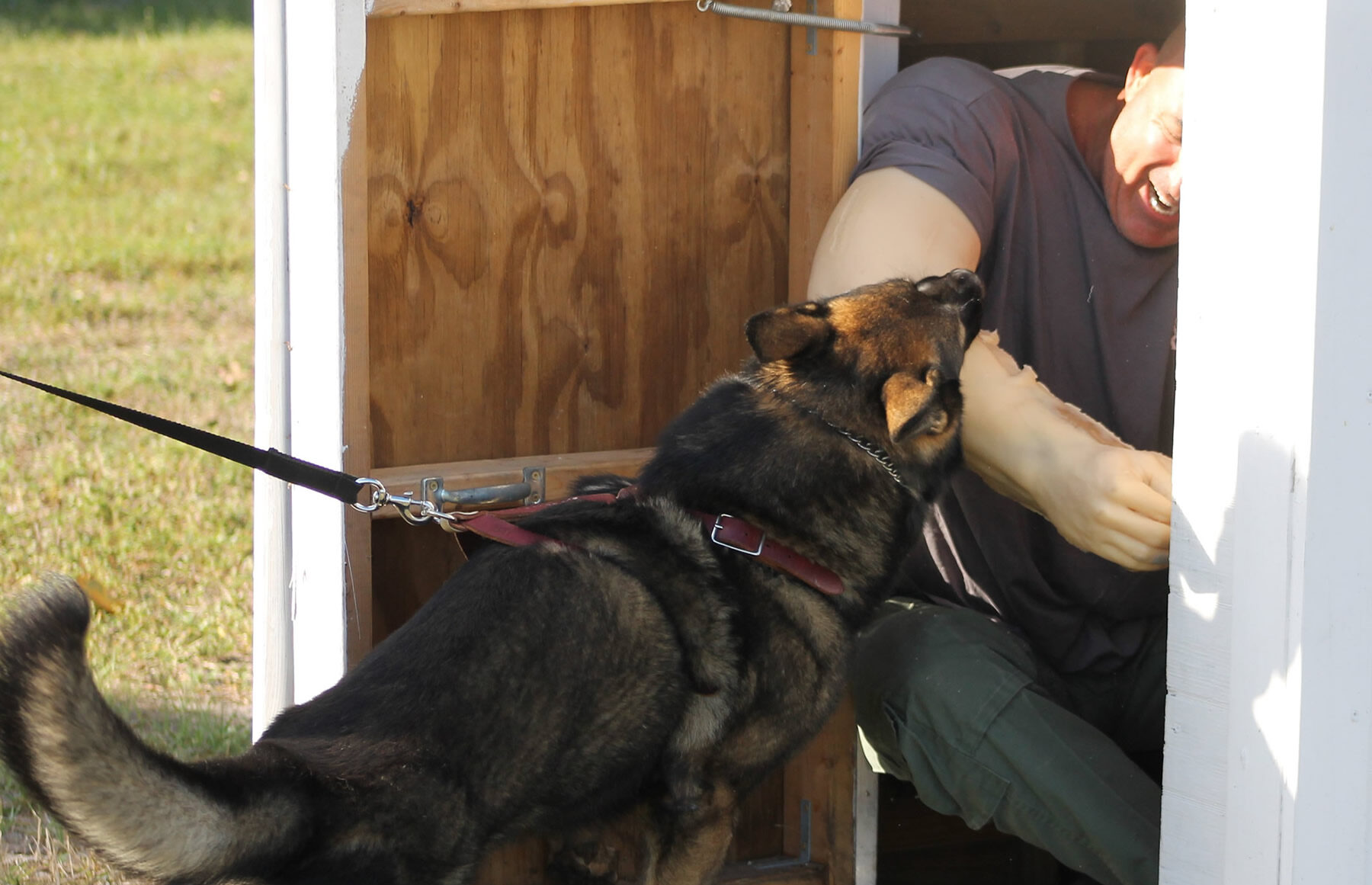Strong Arm Sleeve (S.A.S.) - ArminLeggan® - Police K9 Training Equipment